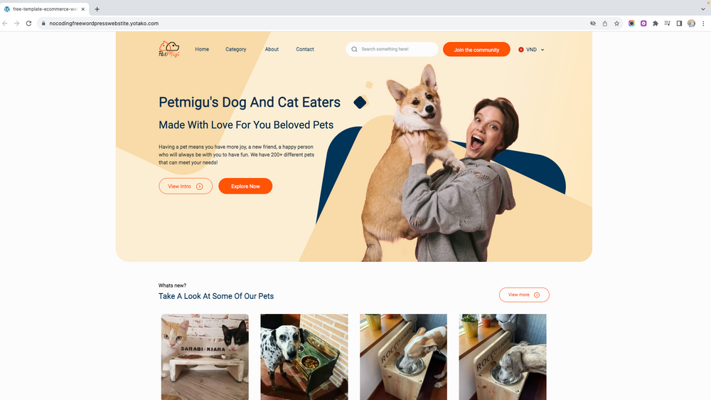 Creating a Free WordPress Website without Coding: A Step-by-Step Guide